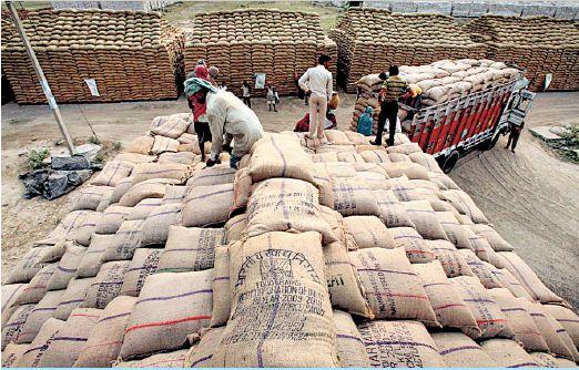 How do we Store Grains - CBSE Library