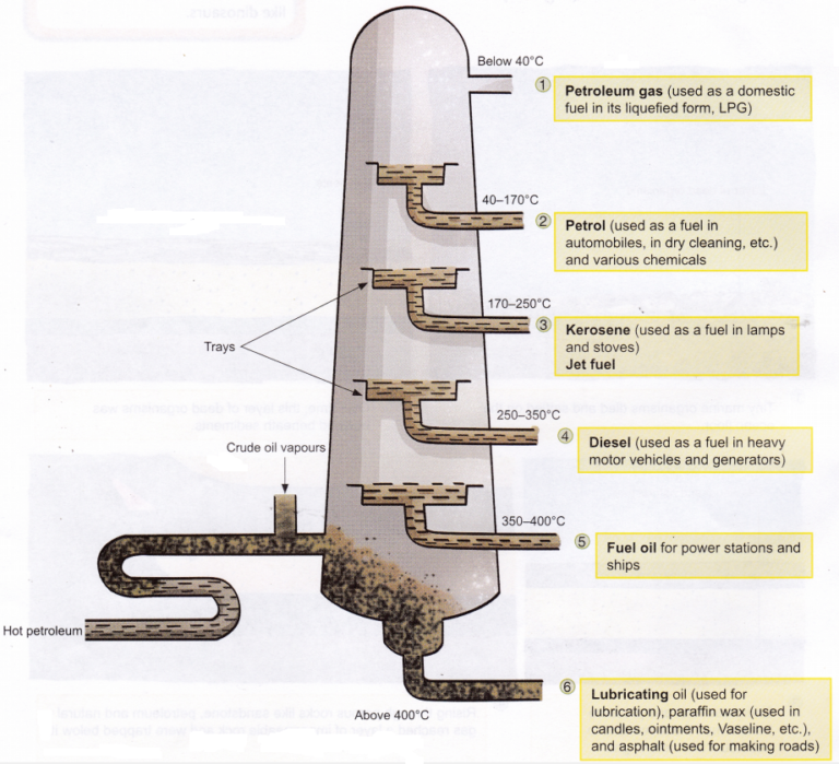 What are the Different Types of Fossil Fuels - CBSE Library