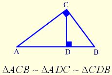 Mean Proportional in a Right Triangle - CBSE Library