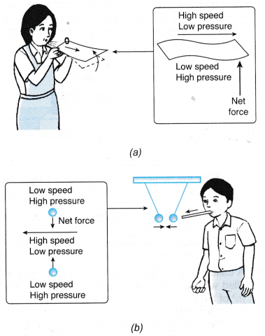 Understanding Bernoulli’s Principle - CBSE Library