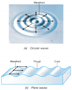 wave transfer energy without transferring matter Archives - CBSE Library