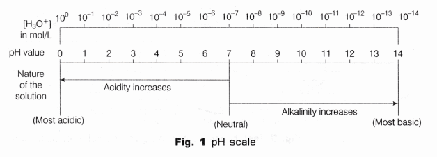 CBSE Class 10 Science Lab Manual - pH of Samples - CBSE Library