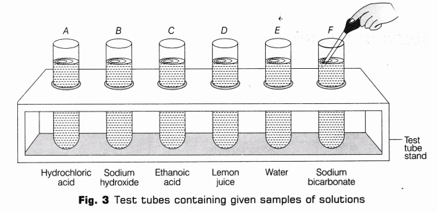 CBSE Class 10 Science Lab Manual - pH of Samples - CBSE Library