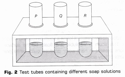 CBSE Class 10 Science Lab Manual - Cleaning Capacity of Soap in Hard ...