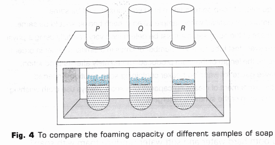 CBSE Class 10 Science Lab Manual - Cleaning Capacity of Soap in Hard ...