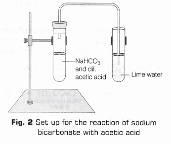 CBSE Class 10 Science Lab Manual - Properties of Acetic Acid - CBSE Library