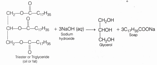 CBSE Class 10 Science Lab Manual - Soap Preparation - CBSE Library