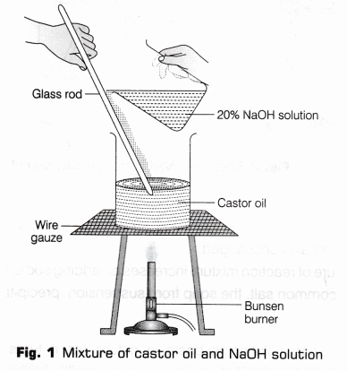 CBSE Class 10 Science Lab Manual - Soap Preparation - CBSE Library