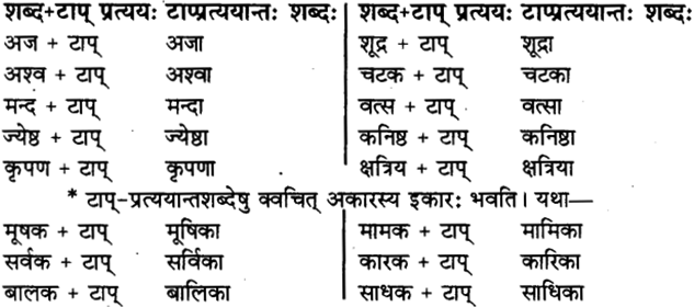 Taap Pratyay in Sanskrit - टाप् प्रत्ययः - Taap Pratyay ke Udaharan - परिभाषा, भेद, संस्कृत ...