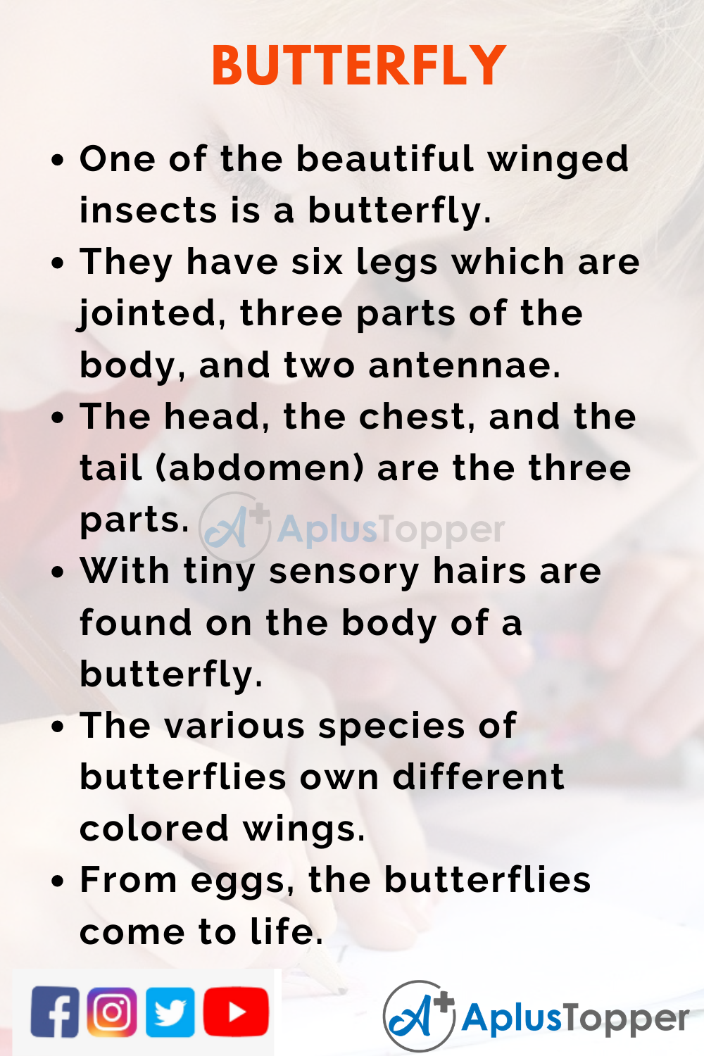 10 Lines on Butterfly for Students and Children in English - CBSE Library