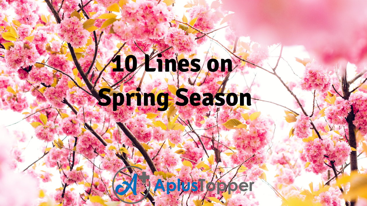 10 Lines on Spring Season for Students and Children in English - CBSE ...