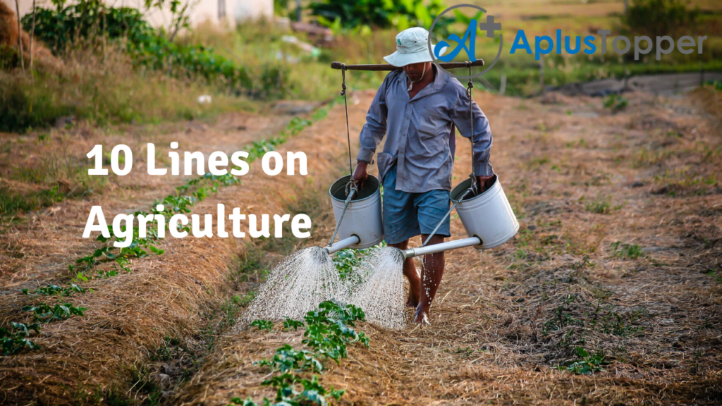 10 Lines on Agriculture for Students and Children in English - CBSE Library