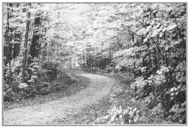 Picture Composition for Class 10 ICSE With Answers - CBSE Library