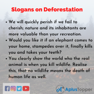 Slogans on Deforestation | Unique and Catchy Slogans on Deforestation ...