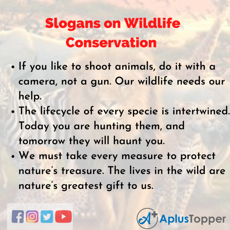 Slogans on Wildlife Conservation | Unique and Catchy Slogans on ...