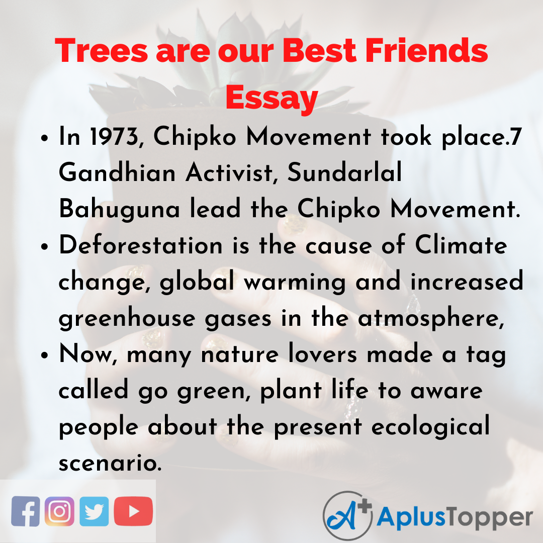Trees are our Best Friends Essay | Essay on Trees are our Best Friends ...