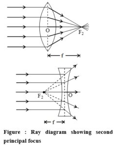 What are the Types of Spherical Lenses - CBSE Library