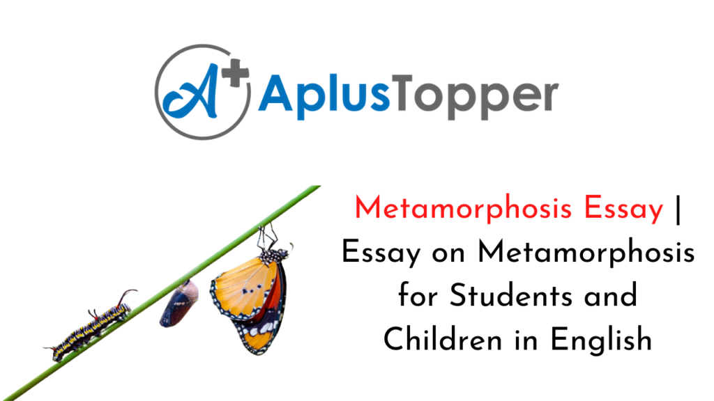 Metamorphosis Essay | Essay on Metamorphosis for Students and Children ...