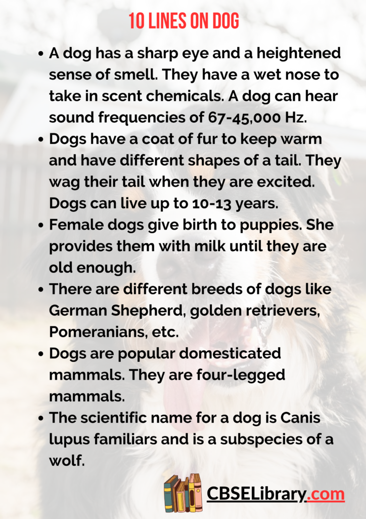 Dog Essay | Essay on Dog for Students and Children in English - CBSE ...