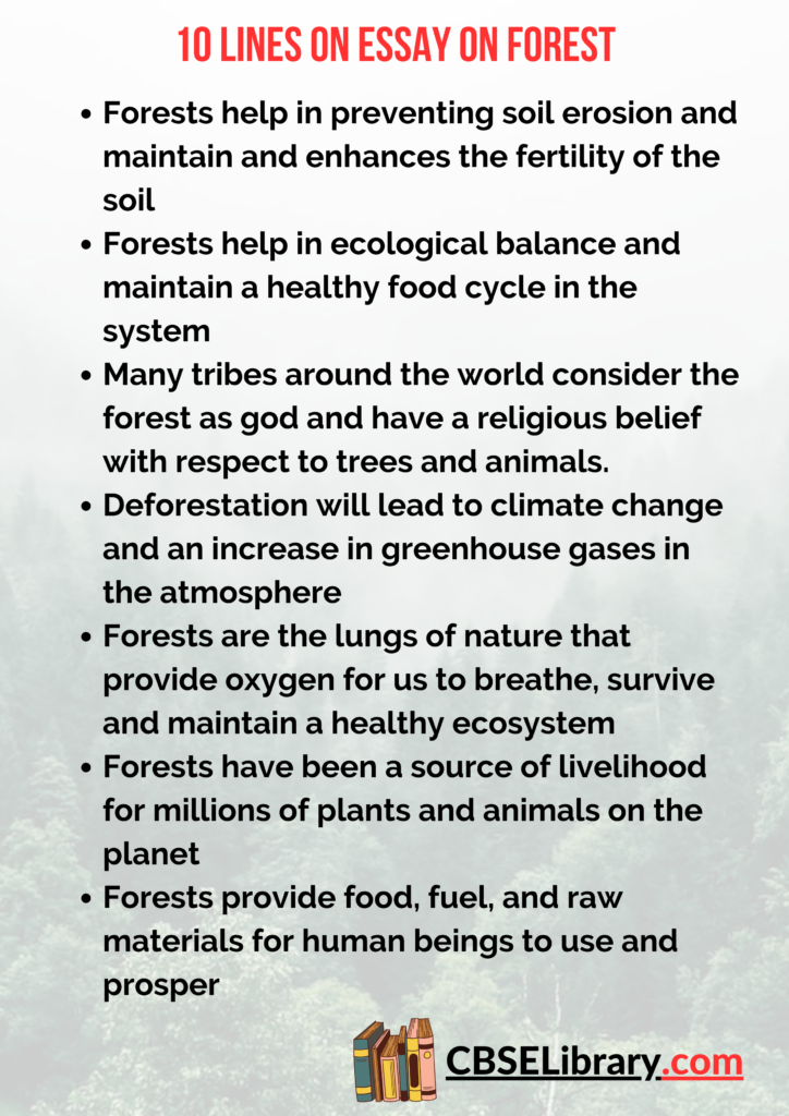 Essay on Forest | Long and Short Essay on Forest in English for ...