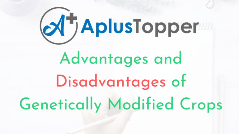 Genetically Modified Crops Advantages and Disadvantages | Advantages ...