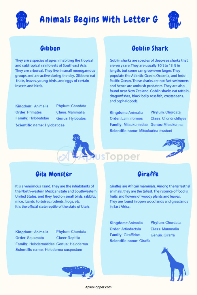 Animals that Start with G | List of Animals Starting with G Pictures ...