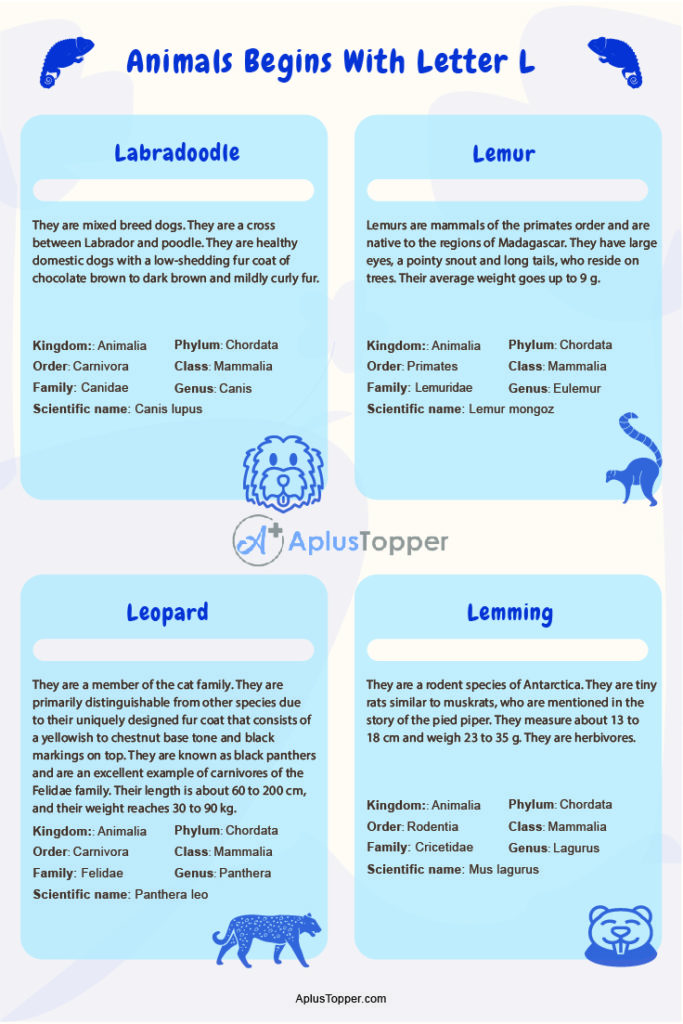 Animals that Start with L | List of Animals Starting with L Pictures ...