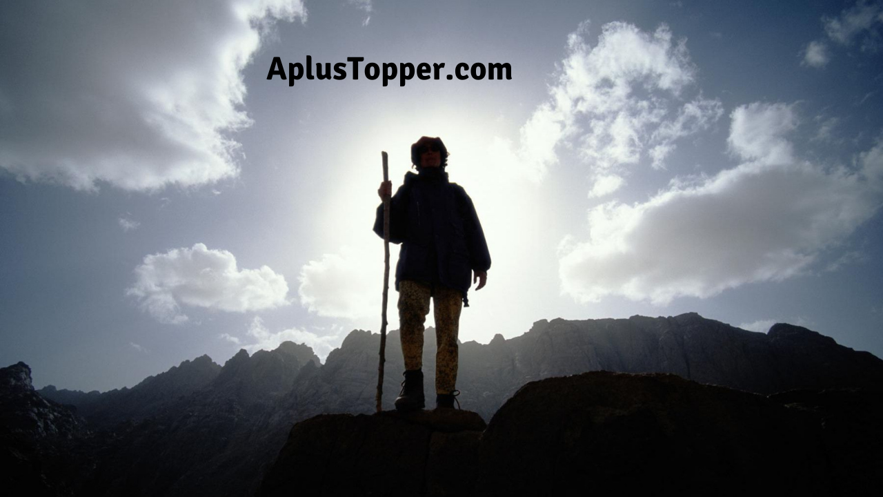 Famous Proverbs | 50+ Famous Proverbs With Meaning for ESL Learners ...