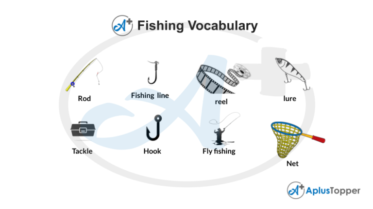 Fishing Vocabulary | List of Fishing Vocabulary With Description and ...