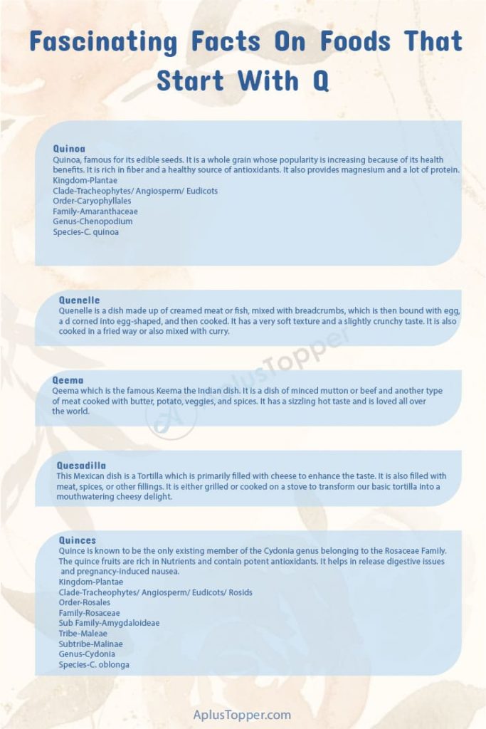 Foods that Start with Q | List of Foods Starting with Q Pictures and ...