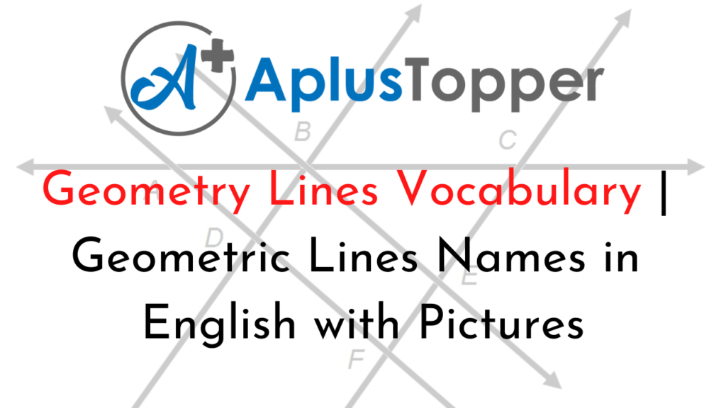 Geometry Lines Vocabulary | Geometric Lines Names in English with ... Geometry Lines Vocabulary | Geometric Lines Names in English with ...