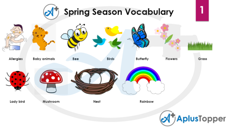 Seasons Vocabulary | Seasons Word List and Useful Season Vocabulary ...